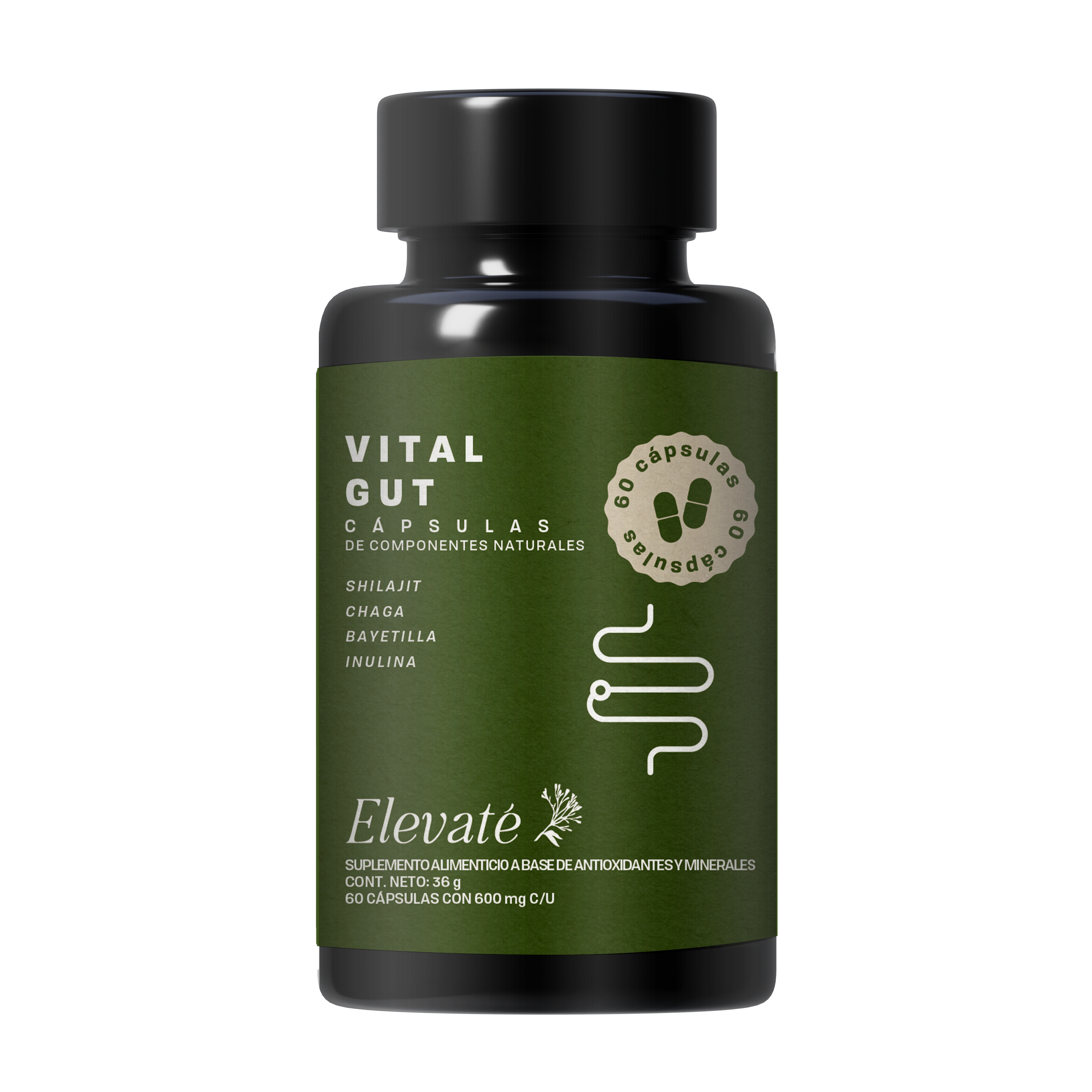 VITAL GUT CAPSULES | Human Way Center